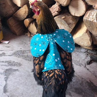 Chicken Saddle Wing Protector Hen Apron Bantam - Etsy