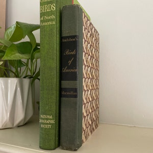 Sepia Book Stack Rustic Decorative Farmhouse Books Neutral - Etsy