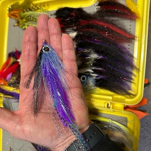 Bay Anchovy: Striper/bluefish Fly - Etsy