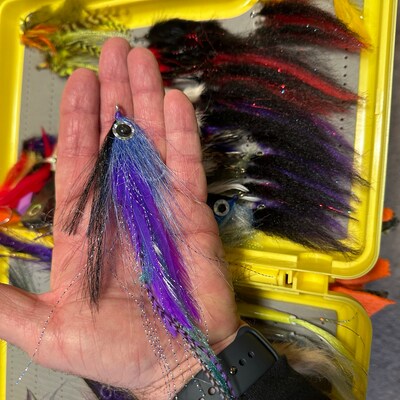 Bay Anchovy: Striper/bluefish Fly - Etsy