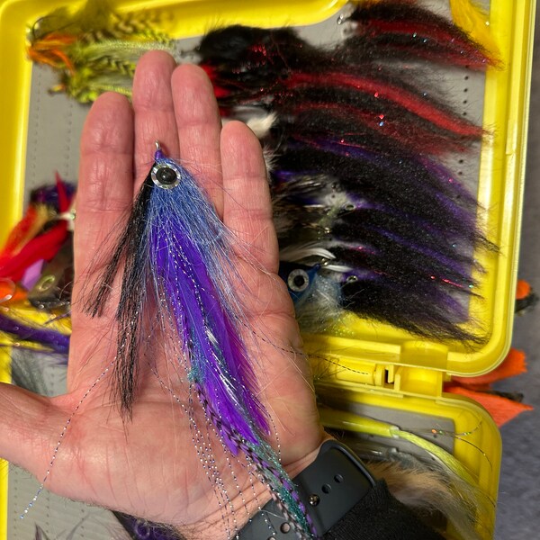 Bay Anchovy: Striper/bluefish Fly - Etsy