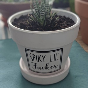 Funny Pun Plant Pot Spiky Lil' Fucker Planter Indoor Succulent Pot ...