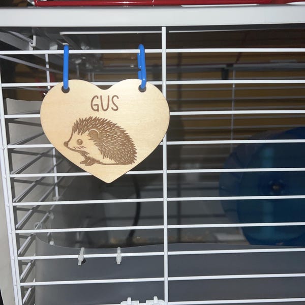 Hedgehog Name Sign, Hedgehog Name Tag, Hedgehog Cage Sign, Hedgehog ...
