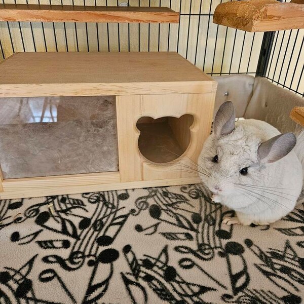 Stainless Steel Scatterless Litter Box With Guards Wood Hay Feeder Food ...