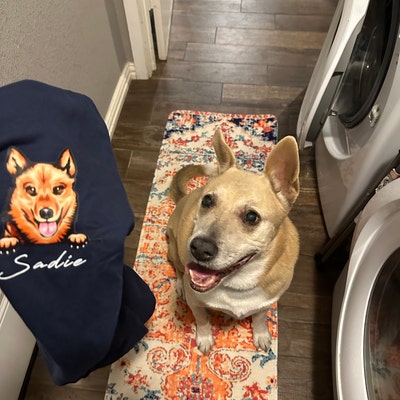 Everything is Under CTRL Comfort Colors Shirt, Computer Programmer T-shirt, Computer Science ...