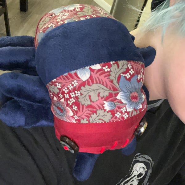 Rollie Pollie Plushie Nation || Hand Made Plushies, Mystery Bug, for ...