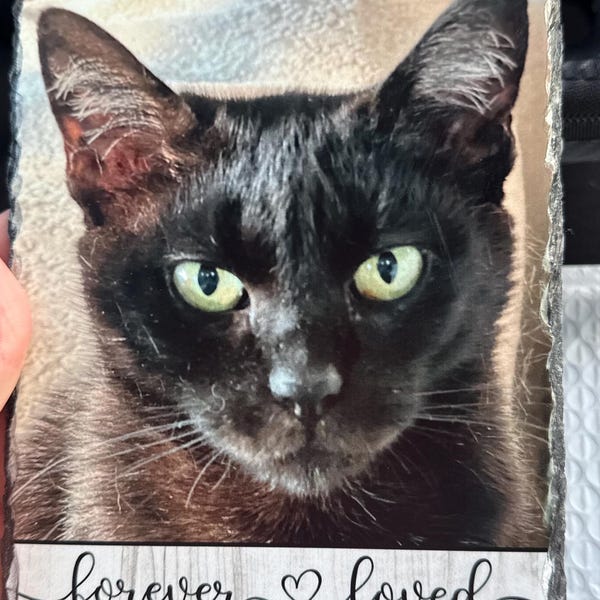 PERSONALIZED Pet Memorial Photo, Forever Loved, Pet Loss Slate Gift ...