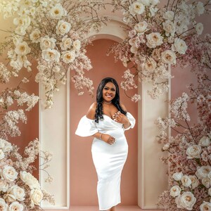 White Fluffy Angel Wings Digital Overlays, Maternity Backdrop Overlays ...