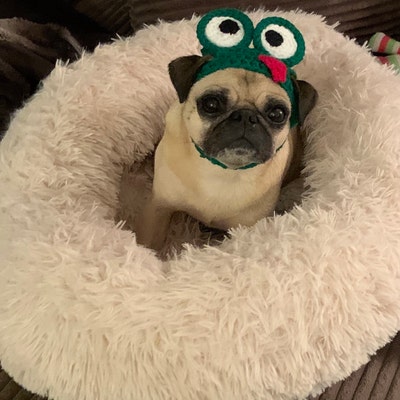 Crochet Frog Dog Hat Frog Pug Hat Hats for Dogs Hats for Pugs Crochet ...