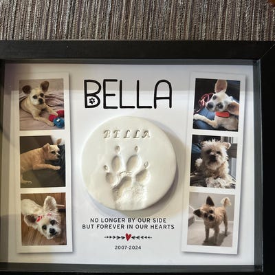 Pet Memorial Paw Print Harness Holder Shadow Box, Pet Loss Frame, Clay ...