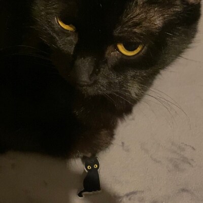 Croc Sticker Crocs White Crocs Waterproof - Etsy