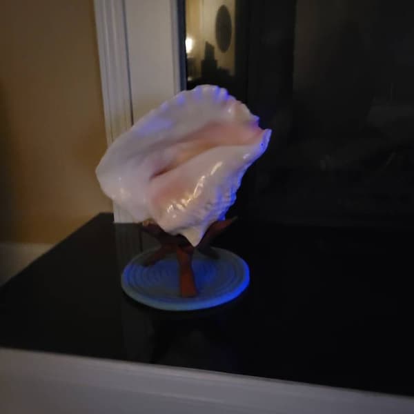 Large Wood Display Stand I Large Wooden Display Stand I Conch Shell ...