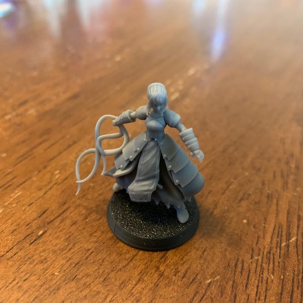 Doge Paladin of Bonking - 28mm Dnd Miniature - Village's Hope ...