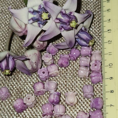 Undrilled 100 Hua Weleweka / Hawaiian Velvet Seeds/ Maui Mink Tree ...