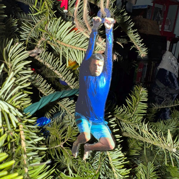 Tim Robinson on a Zipline Meme Car Air Freshener - Etsy