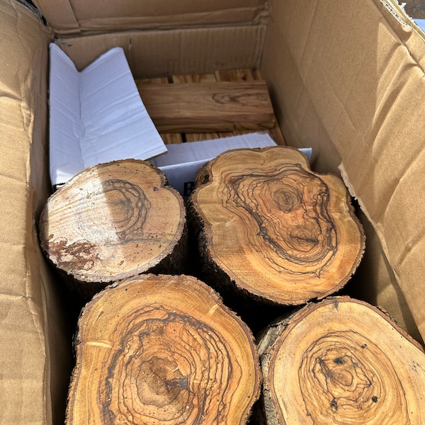 2 Oz Green Paua Abalone Shell Blanks, Inlay Material Premium. 0.06 ...