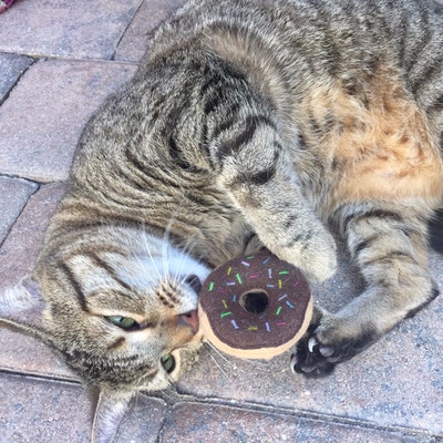 Chocolate Frosted Donut With Sprinkles Organic Catnip Cat Toy - Etsy