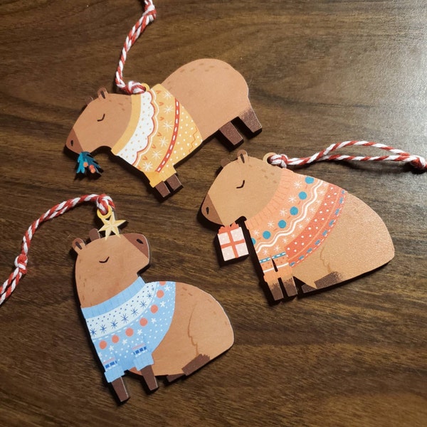 Capybara Spa Magnets Cute Capybaras Card Gift Fridge Refrigerator ...