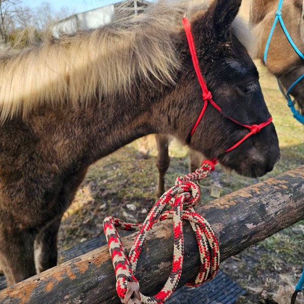 PRE-MADE No Tie Buckle Biothane Crown Halter in Soft 1/4" Rope Horse ...