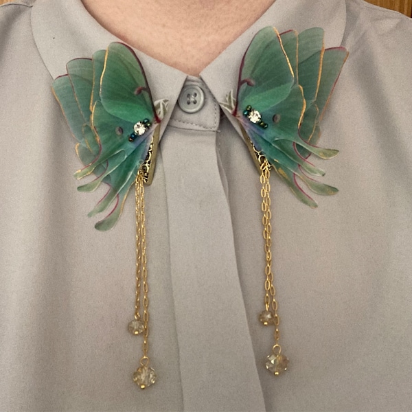Silk Moth Butterfly Collar Clip Pins With Chains - Collar Brooch ...
