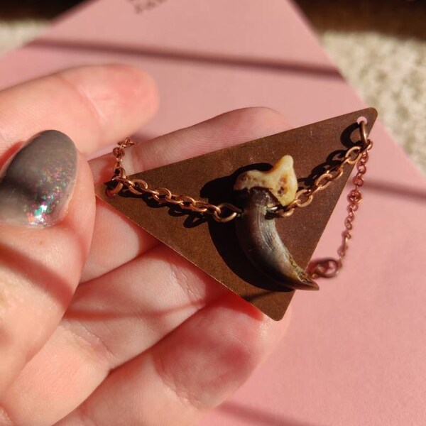 Snake Vertebrae Necklace, Antique Brass Necklace, Taxidermy Jewelry ...