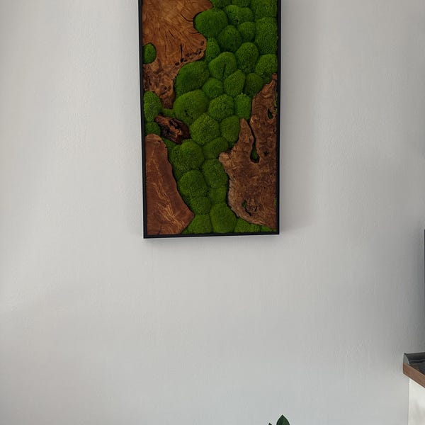 Moss Picture Ball Moss Solid Wood Frame Oiled Oak Moss Landscape - Etsy