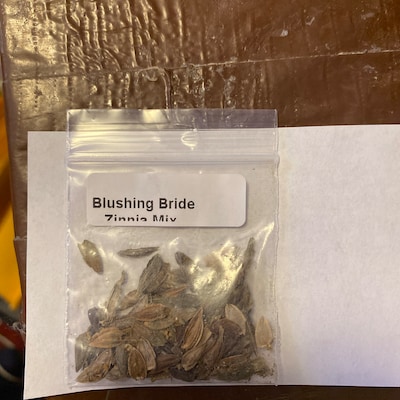100 Blushing Bride Zinnia Mix Seeds. - Etsy