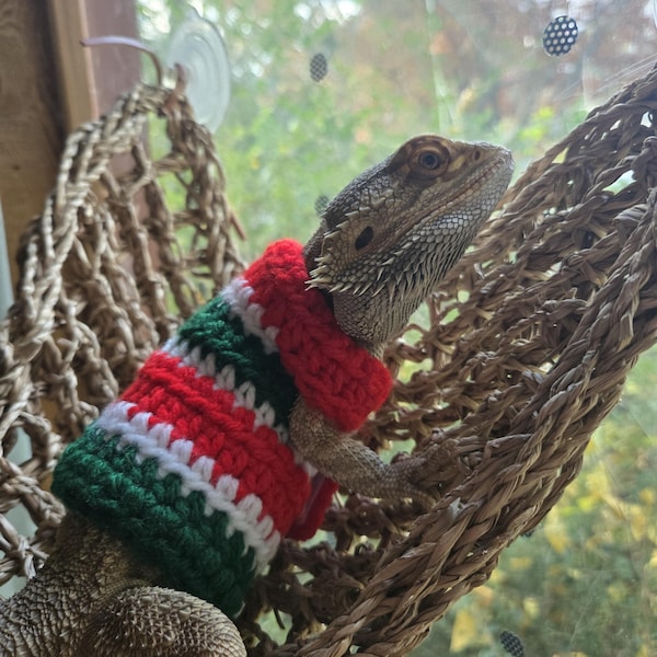 Crocheted Adult Tigger Bearded Dragon Costume | Bearded Dragon Costume ...