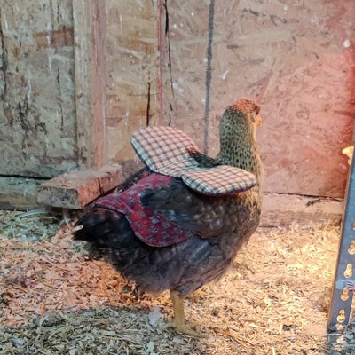 Hen Saddle, Chicken Apron Tail Guard AND Now Added Wing Guard PDF ...