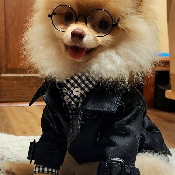 Dog Tan, Black Trench Coats, Small Dogs Raincoat, Puppy Clothes, Pet Hoodies, Luxury Dog Jacket ...