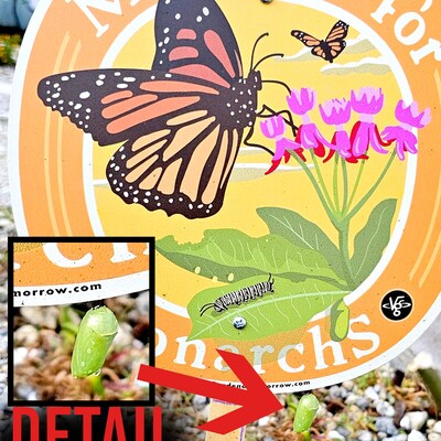 Dandelion Habitat Garden Sign - Etsy