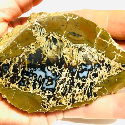 Botryoidal Agate Stalagmite Thunder Egg Geode Madras Oregon - Etsy