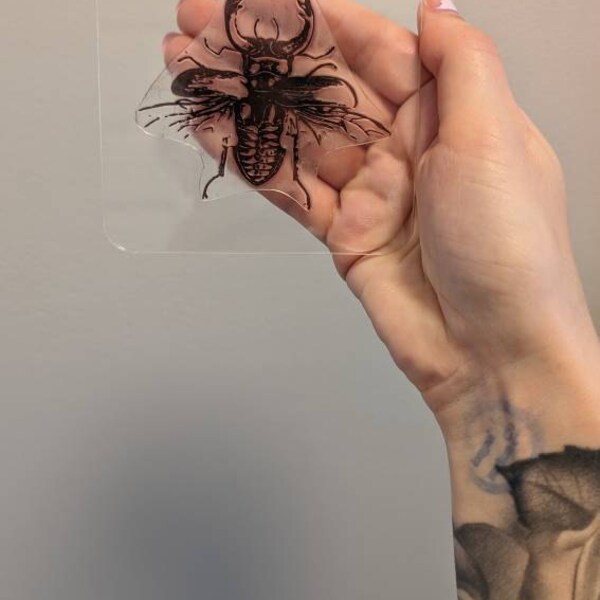 Stag Beetle Stamp for Bug Enthusiast, Insect Impression for Botany ...