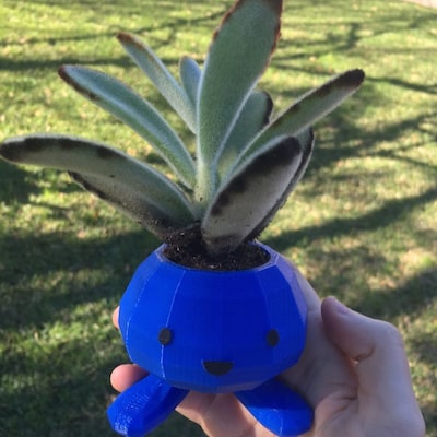 Oddish Planter Pokemon Christmas Gift Oddish 3D Printed - Etsy