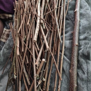 THICK Straight Hazel Sticks - Perfect for Whittling, Wood Crafts, Art ...