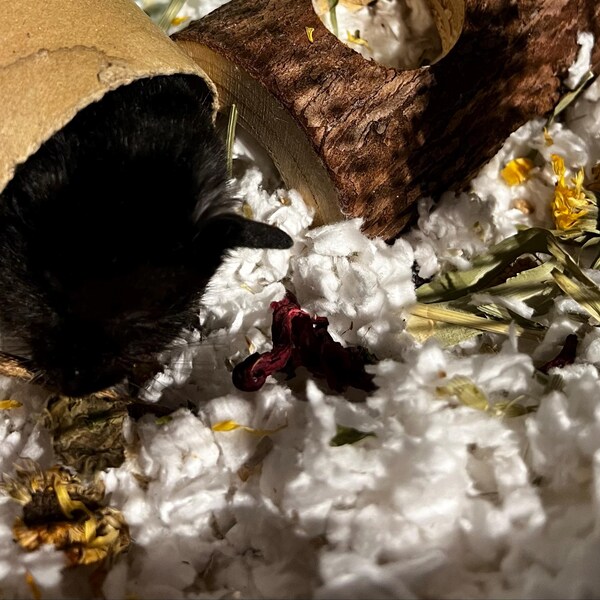 Forage Box | Rabbits, Guinea Pigs, Hamsters, Rats - Etsy UK