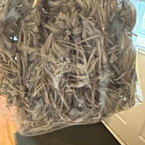 5 Pack Arizona Creosote Bush 9" Smudging Sticks Free U.S. Shipping - Etsy