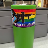 Defend Equality Trans Flag and Rifle Hard Enamel Pin - Etsy