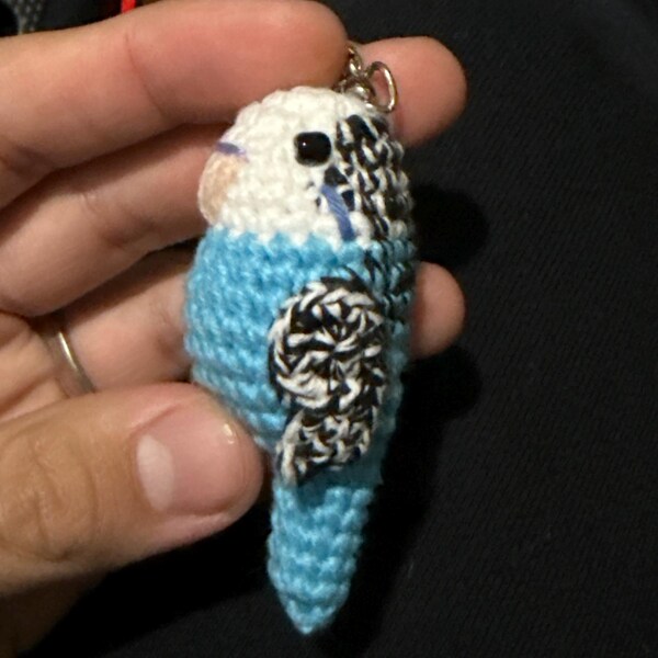 Caique Parrot Keychain/ Indian Ringneck Bird Crochet / Eclectus Parrot ...