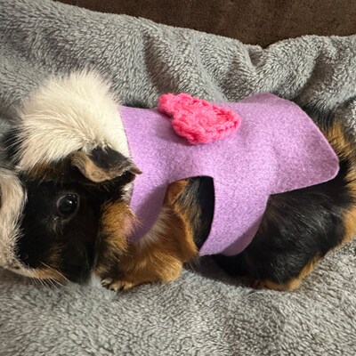 Mouse Hanging Hammock for Small Animals Cage Hammock for Multiple Mice ...