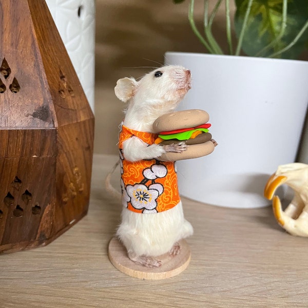 Burger Time Taxidermy Mouse - Etsy