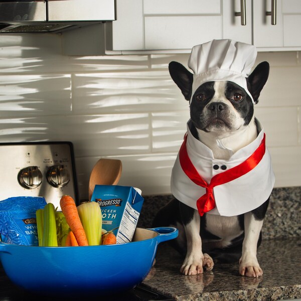 Halloween Chef Dog Cat Pet Costume, Kitchen Helper Assistant Costume ...