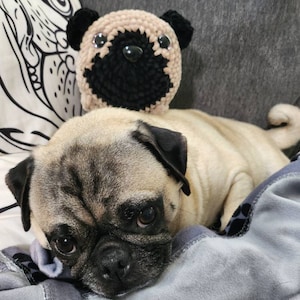 Loaf Dog Golden Retriever Crochet Pattern PDF - Etsy