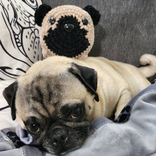 Loaf Dog Golden Retriever Crochet Pattern PDF - Etsy