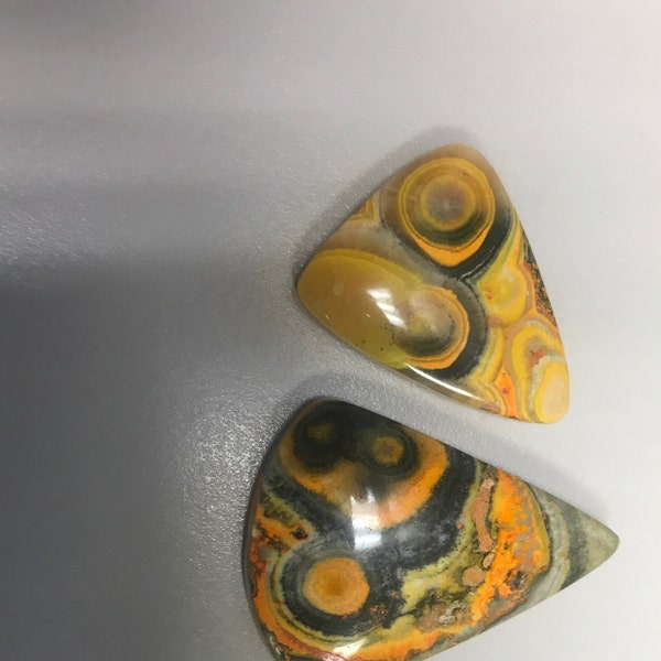 Dinosaur Gembone Sphere Natural Fossil Dinosaur Gem Bone Round Specimen ...