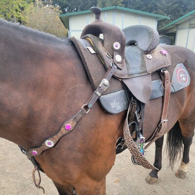 Screwback Concho Grab Bag 25 Conchos - Etsy