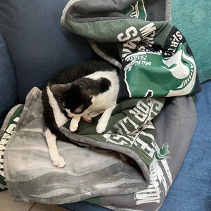 Purdue Teddy Bear - Etsy