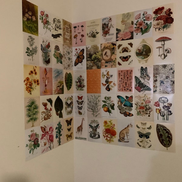 50 Printed 4x6 Vintage Cottagecore Aesthetic Wall Collage Kit Retro