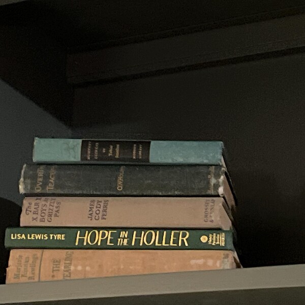 Soft Neutral Decorative Books, Pretty Decor Books, Bookshelf Styling ...