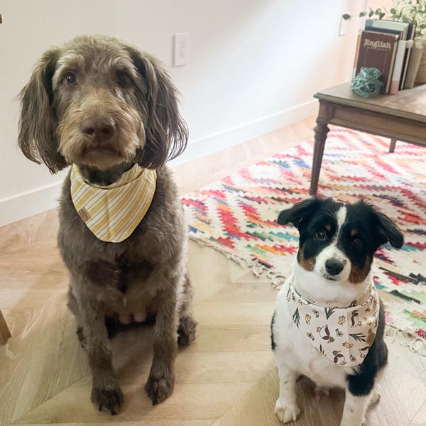Fil A Dog Bandana | Chicken Nugget Dog Bandana | Chick Dog Bandana ...